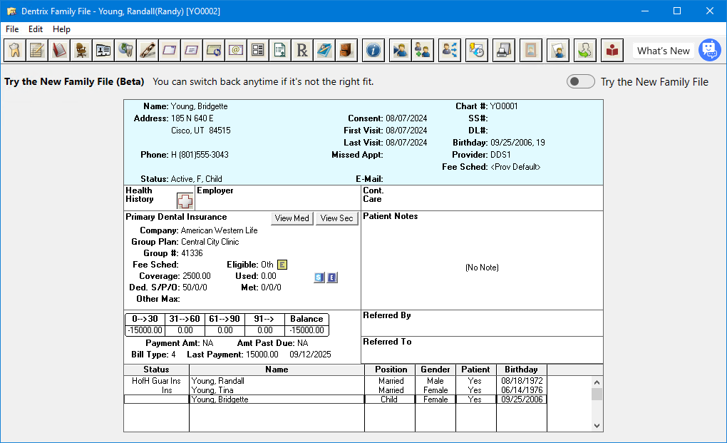 Previewing the new Family File
