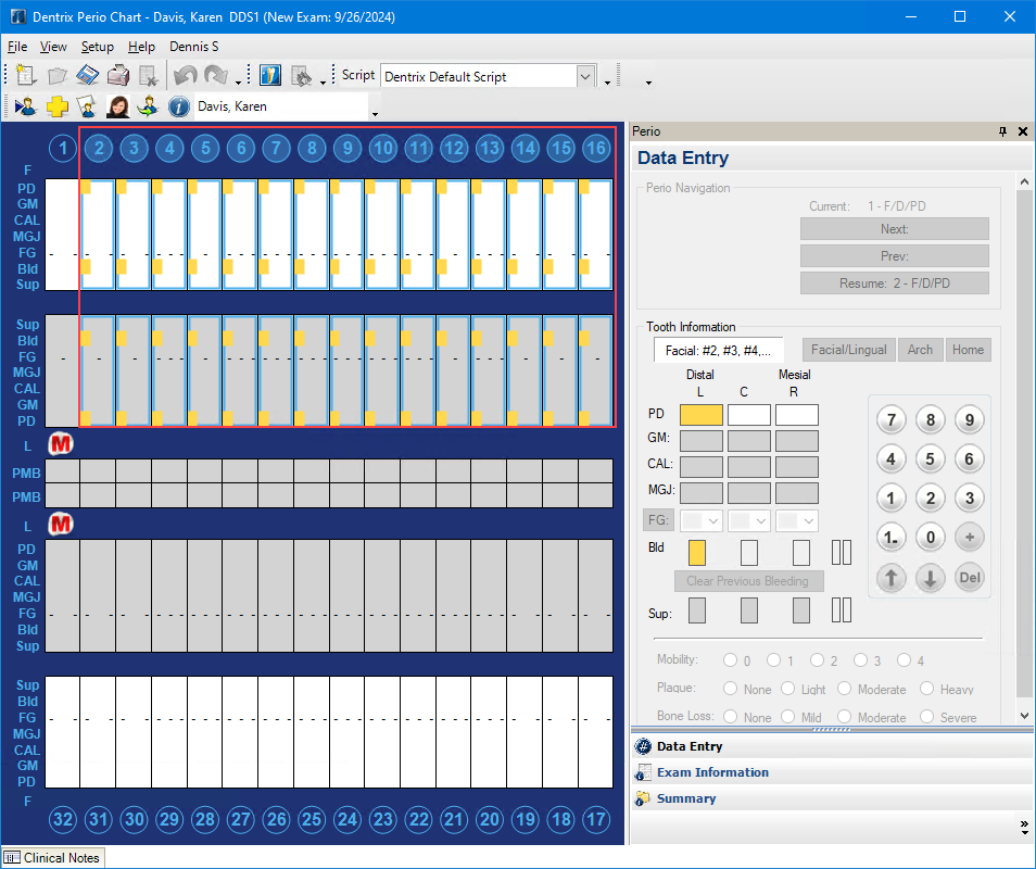 perio chart template