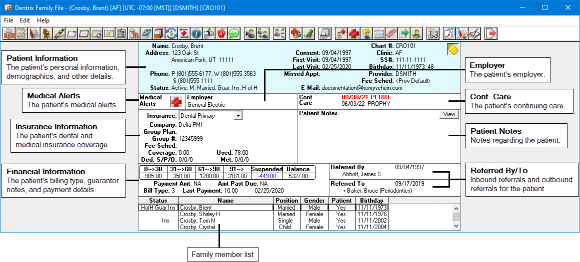Family File window overview