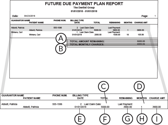 Future Due Payment Plan Report (Standard)