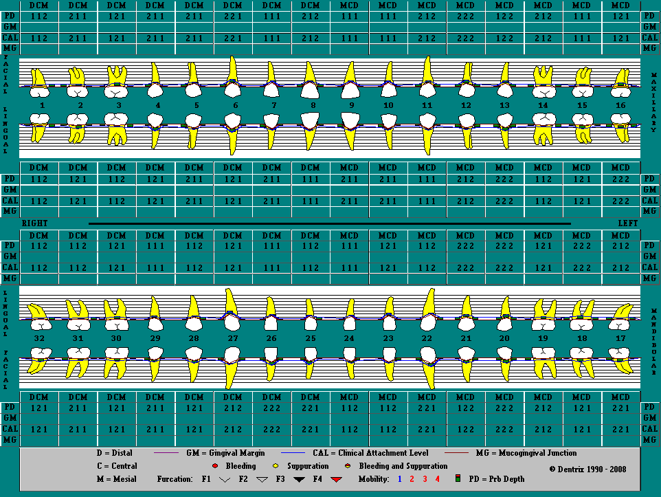Viewing the combined graphic and data chart